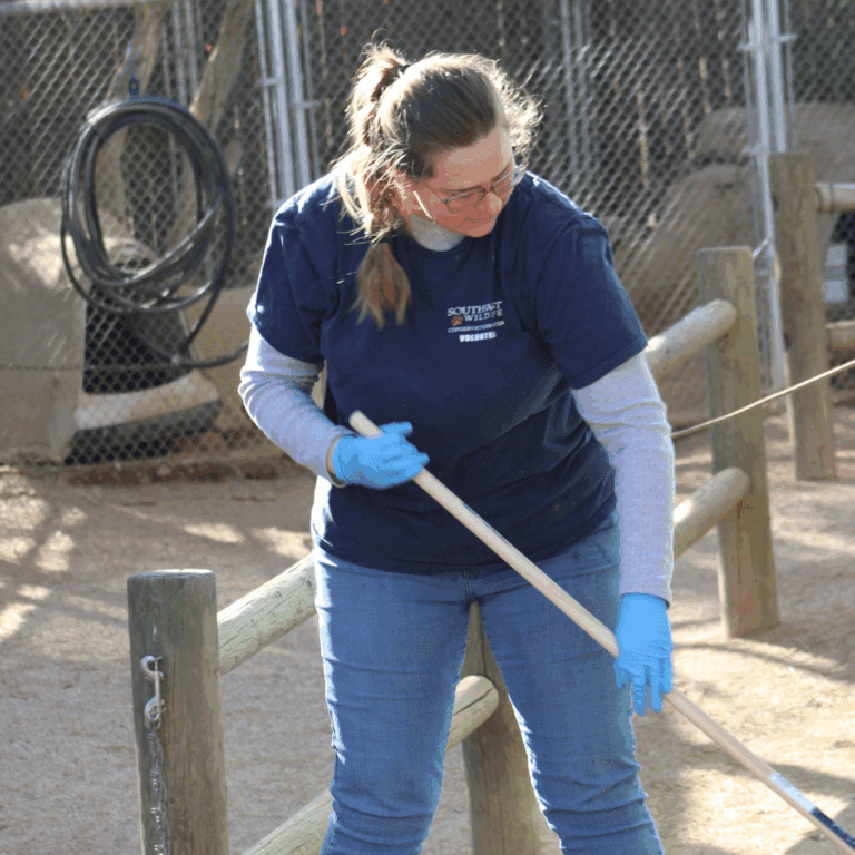 Volunteer | Southwest Wildlife Conservation Center
